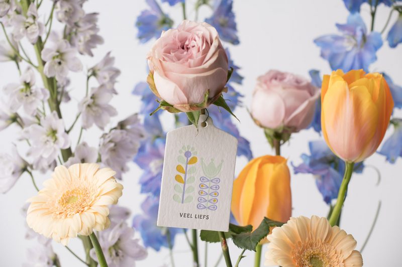 Plantenetiketten uit voorraad | Webshop | Floramedia.nl